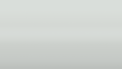 Color Chart - Lyon Metal Roofing and Home Supply