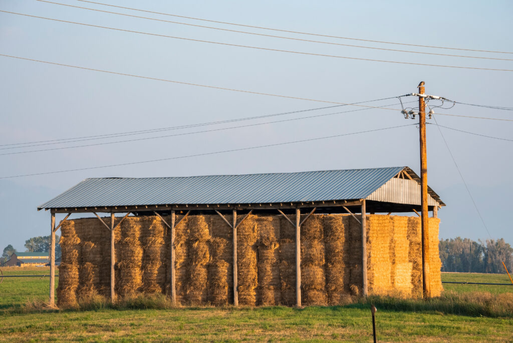 What Is a Roof-Only Pole Barn? A Practical, Cost-Effective Metal ...